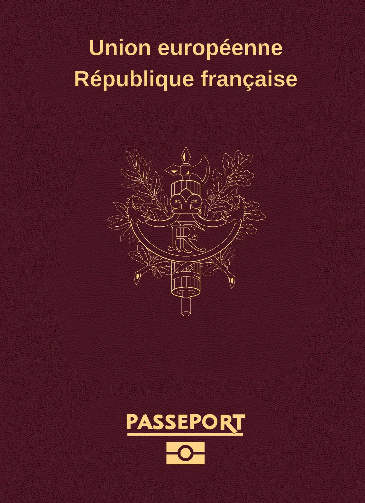 France Passport Ranking 2025 [Benefits, Strength, and More]